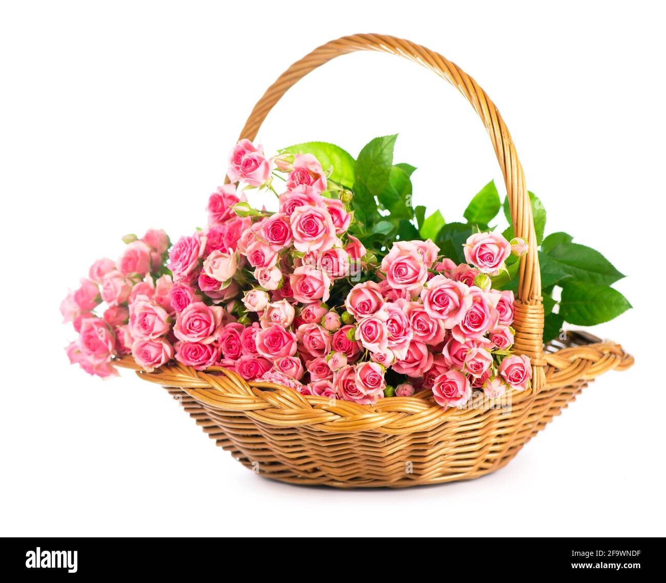 bouquet of pink roses in basket isolated on white background Stock ...