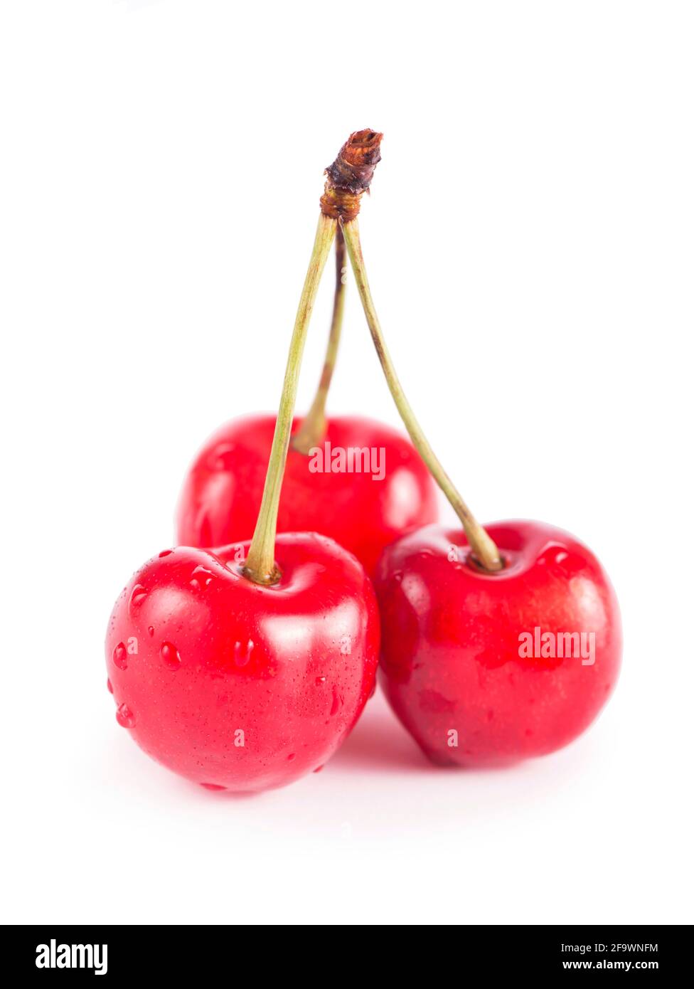 Ripe fresh red cherry isolated on white background. With clipping path ...