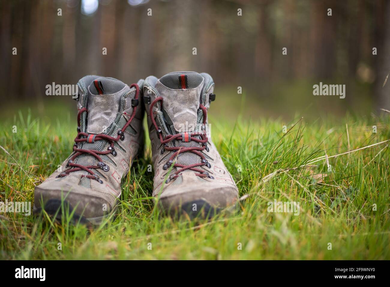 Hiking boots in the forest. Rest after a long trekking walk. Healthy ...