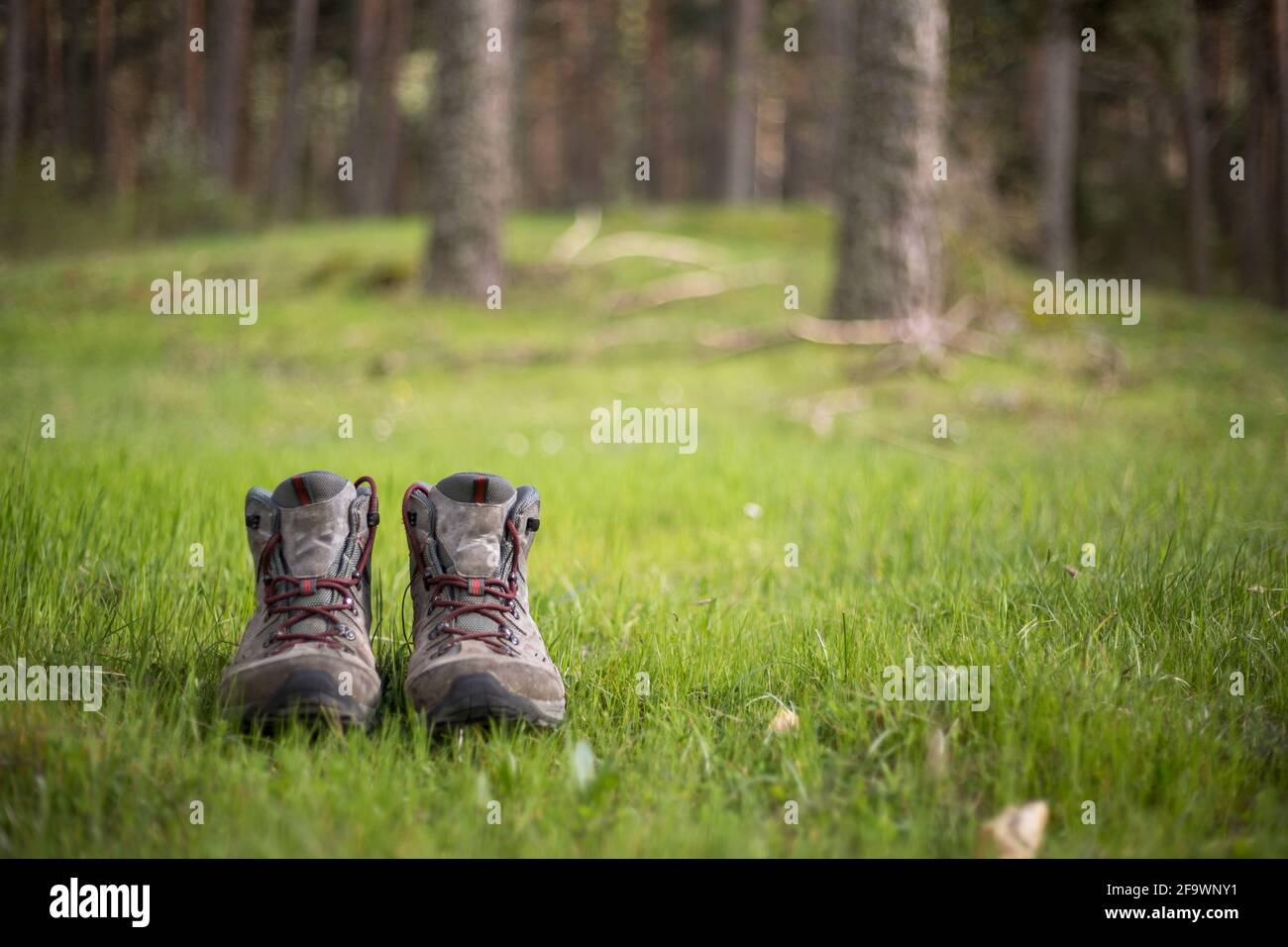 Hiking boots in the forest. Rest after a long trekking walk. Healthy ...