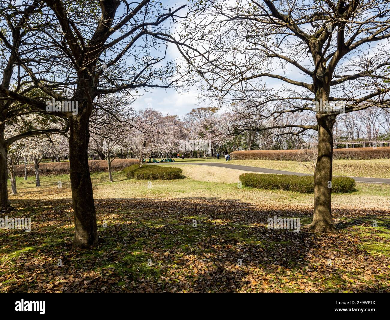 Oba Castle Ruins Park, Fujisawa, Japan Stock Photo - Alamy