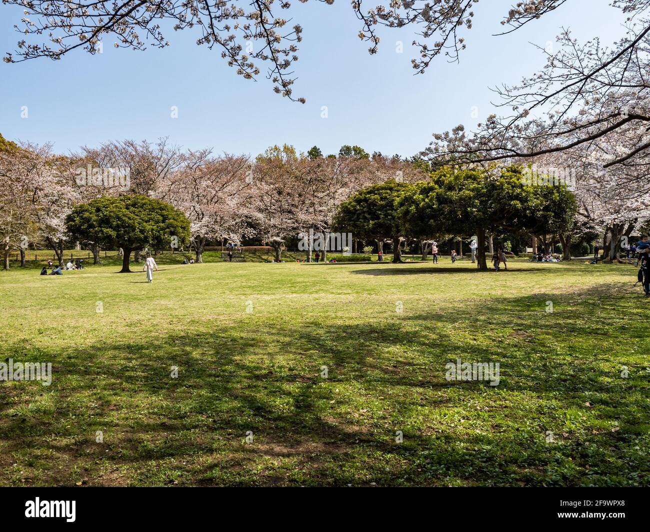Oba Castle Ruins Park, Fujisawa, Japan Stock Photo - Alamy