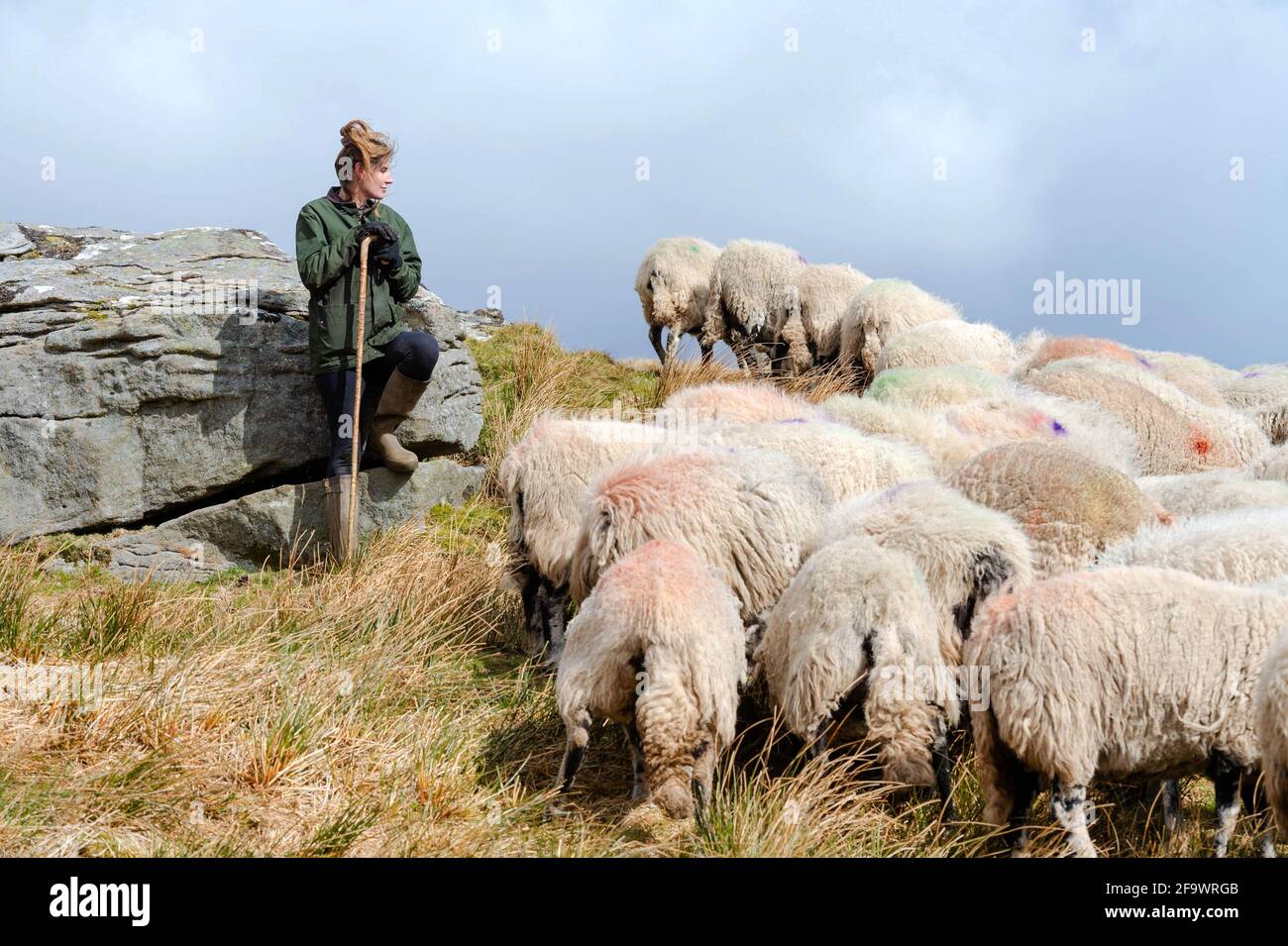 EDITORIAL USE ONLY Yorkshire Shepherdess, Amanda Owen launches Premier ...