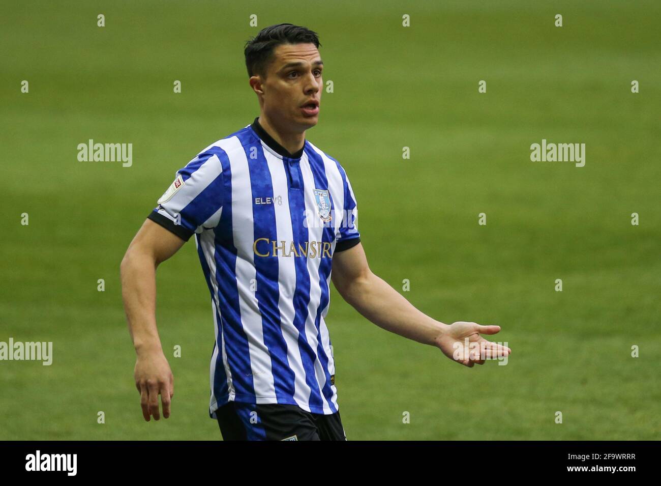 Sheffield wednesday joey pelupessy hi-res stock photography and images ...