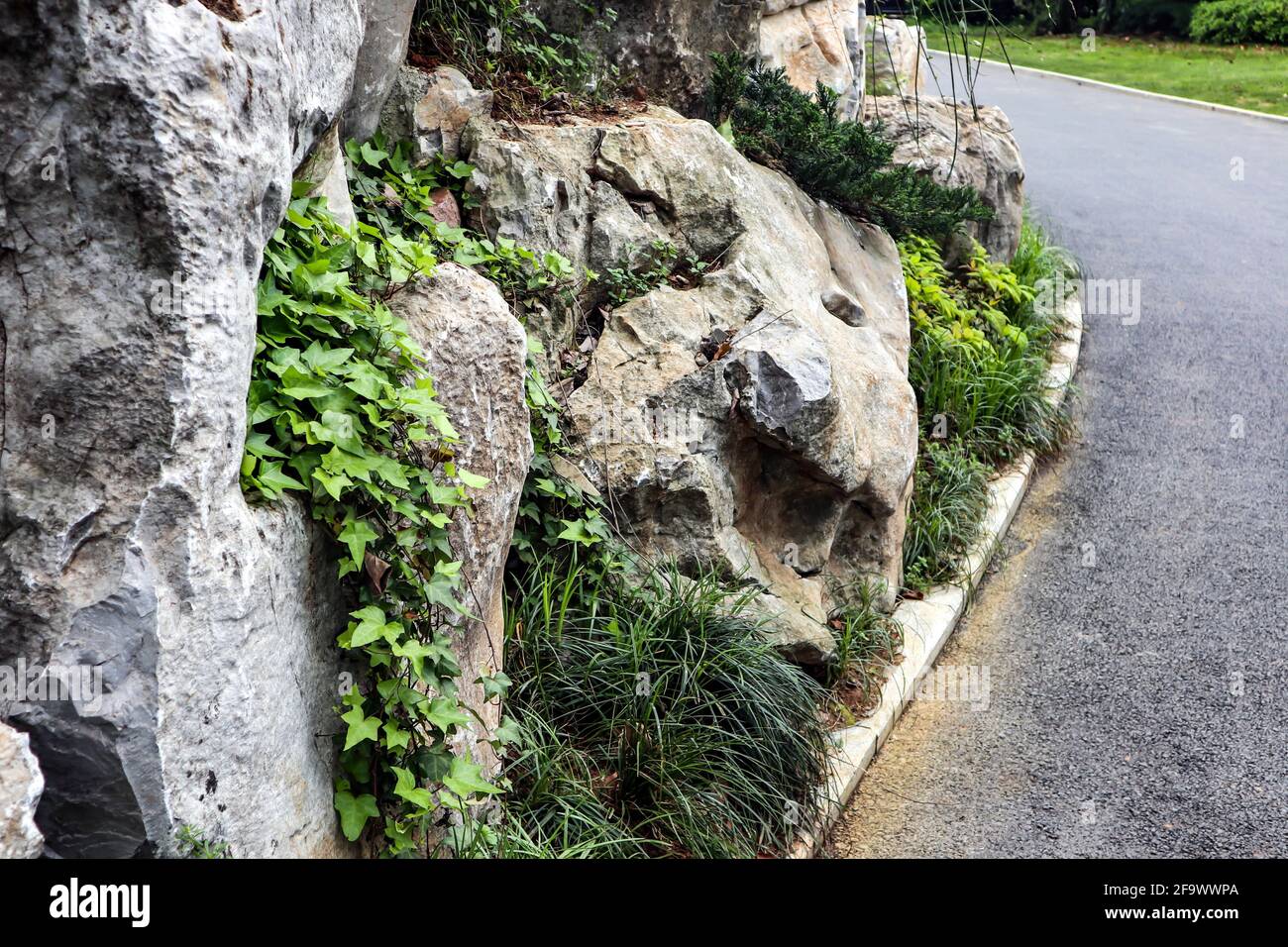 Has the tenacious vitality hi-res stock photography and images - Alamy