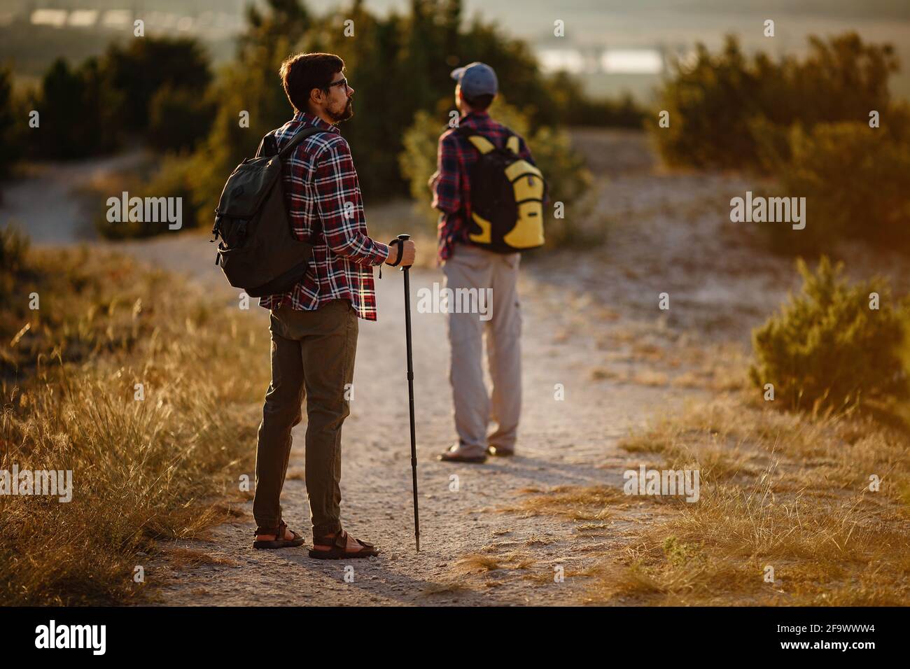 two men hikers enjoy a walk in nature, sunset time in summer. enjoying ...