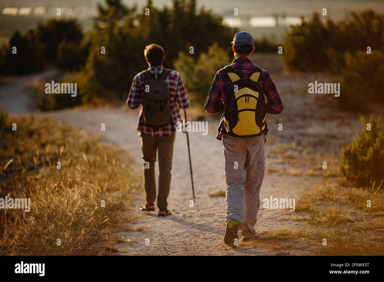 two men hikers enjoy a walk in nature, sunset time in summer. enjoying ...