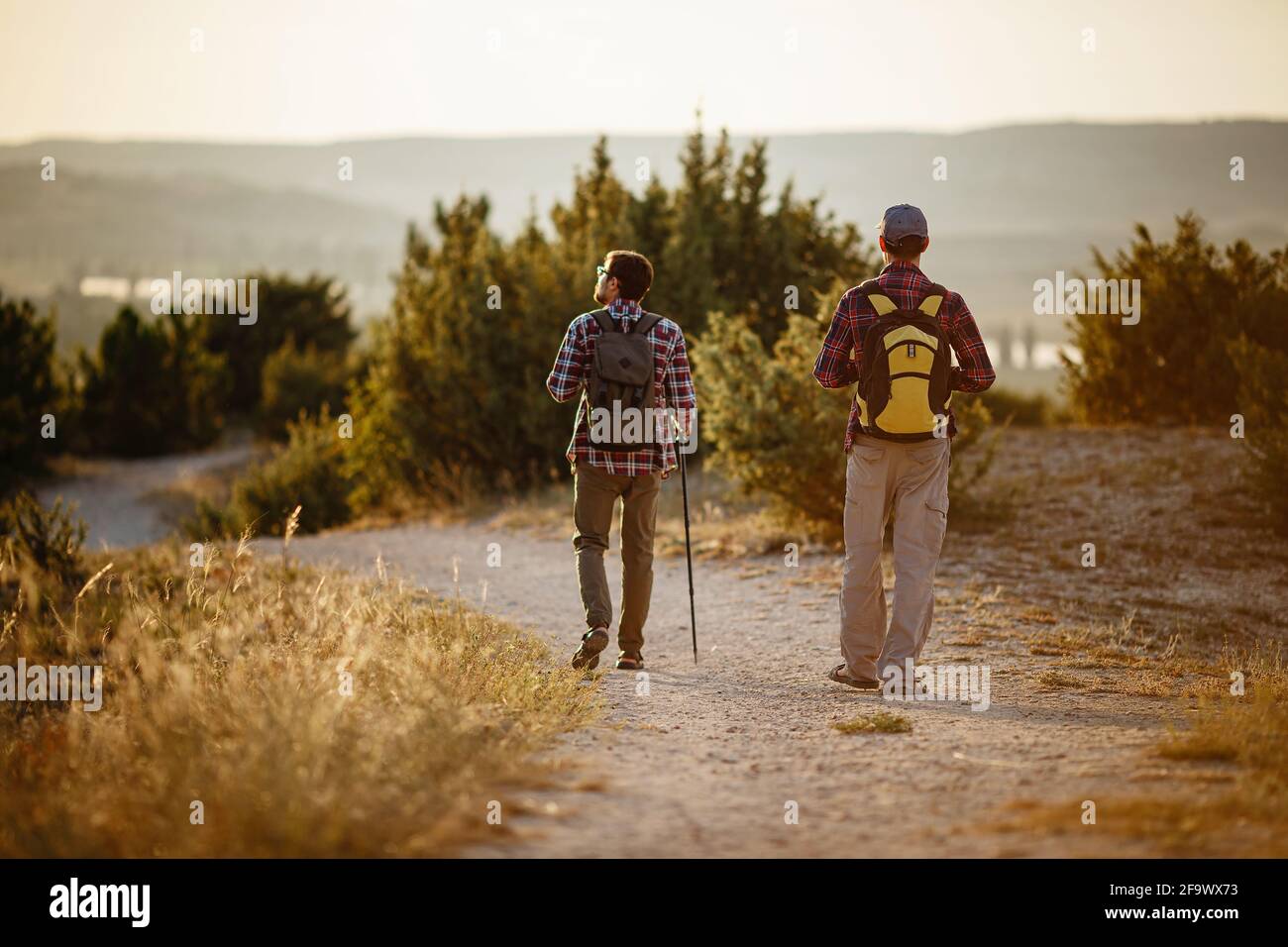 two men hikers enjoy a walk in nature, sunset time in summer. enjoying ...