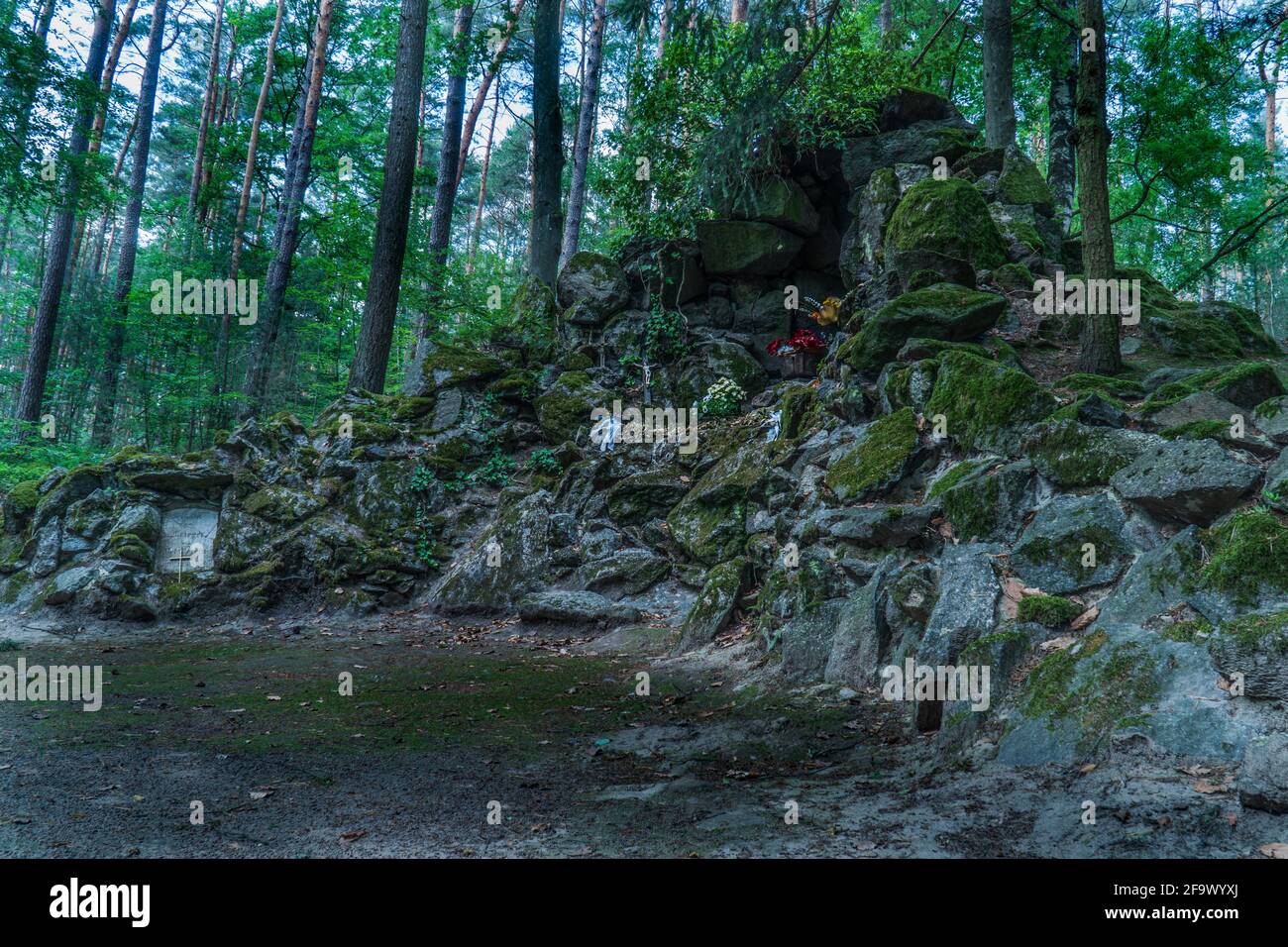 Beautiful mountain view inside the wonderful green forest with trees ...