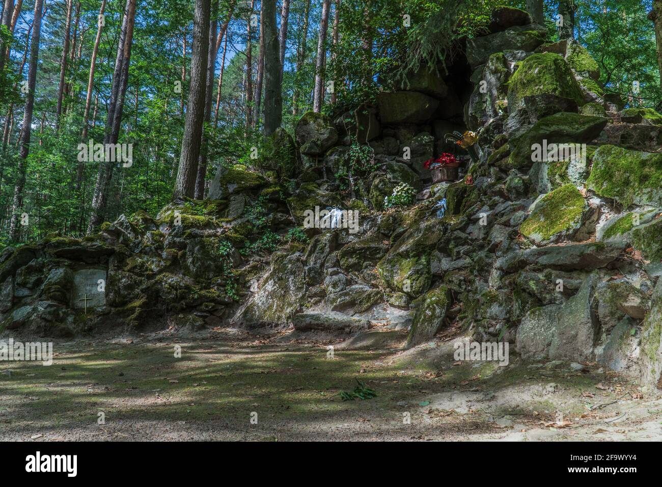 Beautiful mountain view inside the wonderful green forest with trees ...
