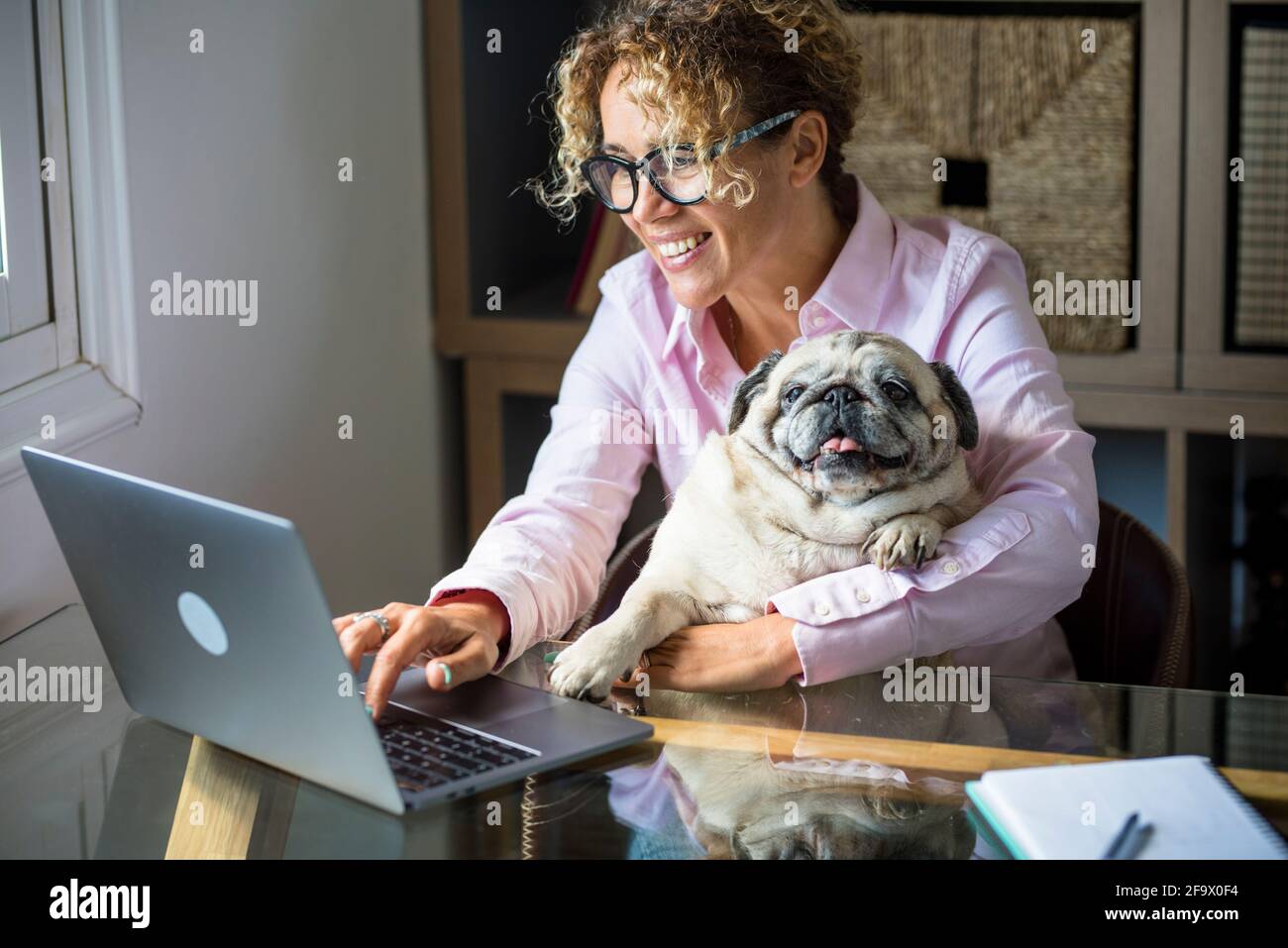 Pug at computer hi-res stock photography and images - Alamy