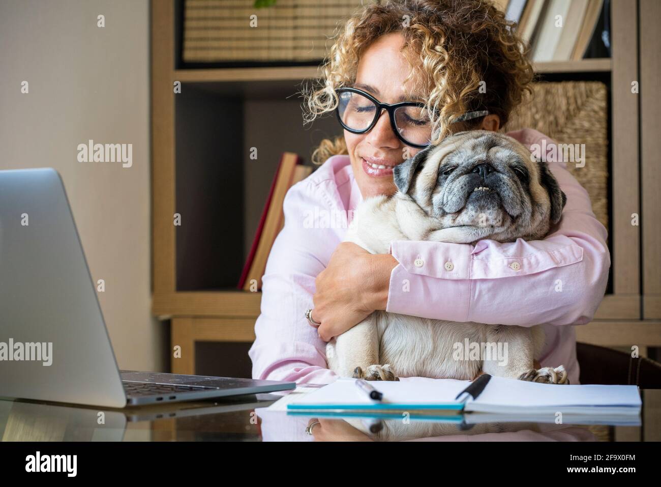Pug at work hi-res stock photography and images - Alamy
