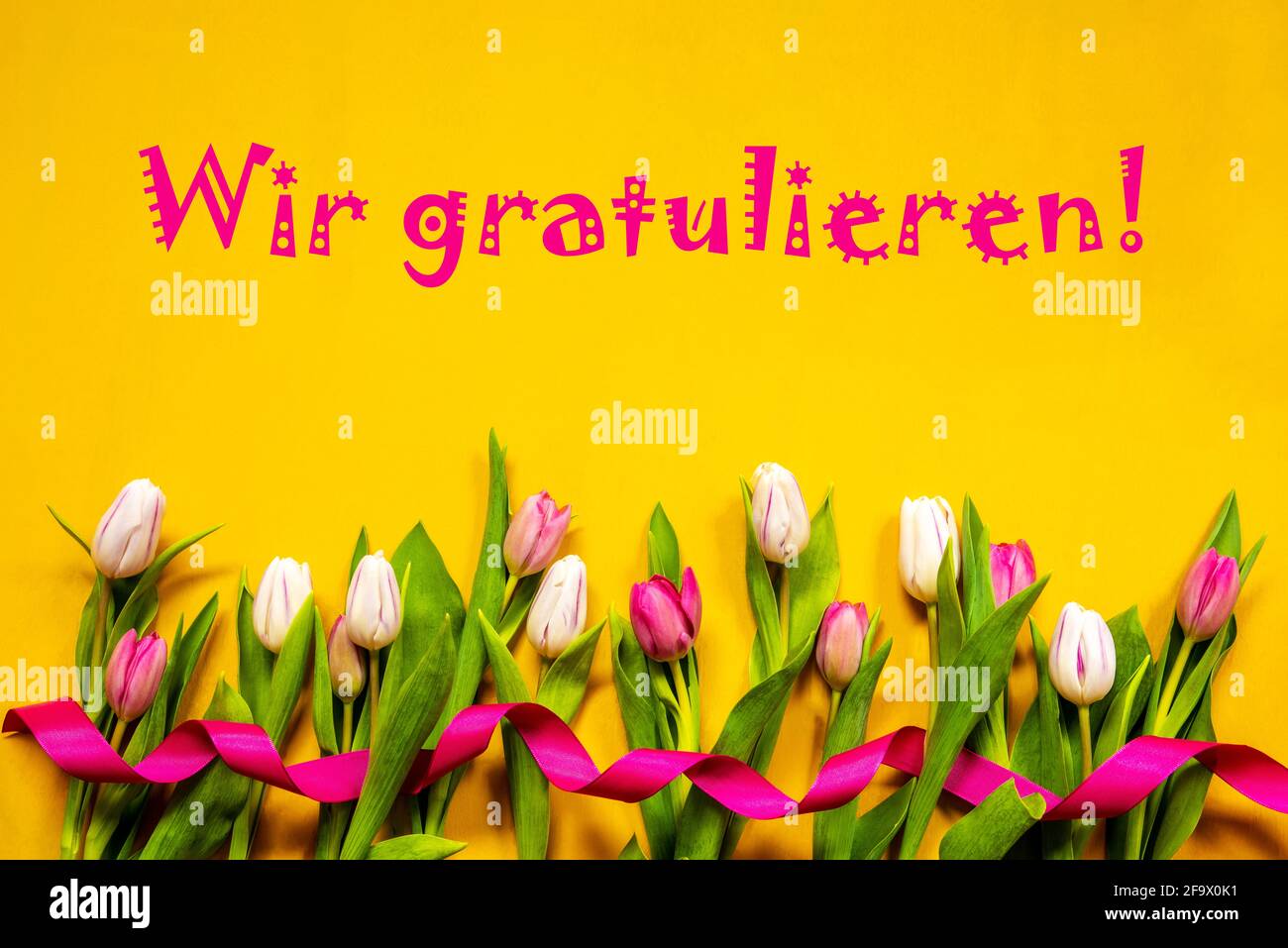 German Text Wir Gratulieren Means Congratulations. White And Pink Tulip ...