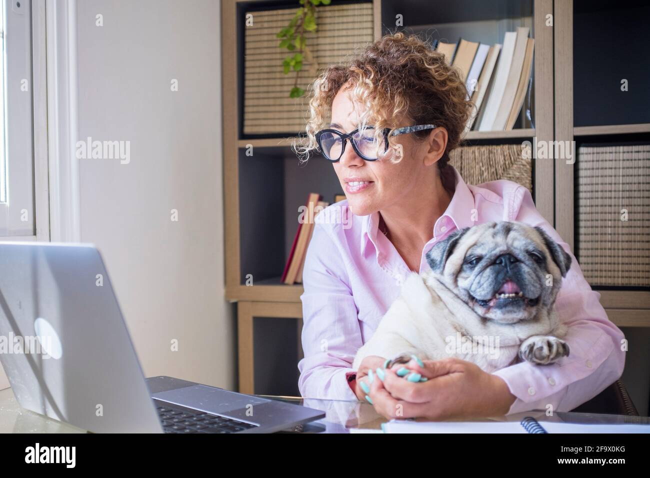 People and dog love friendship together - adult pretty young woman work ...