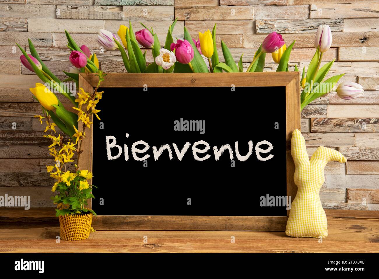 Blackboard With French Text Bienvenue Means Welcome. Colorful Tulip ...