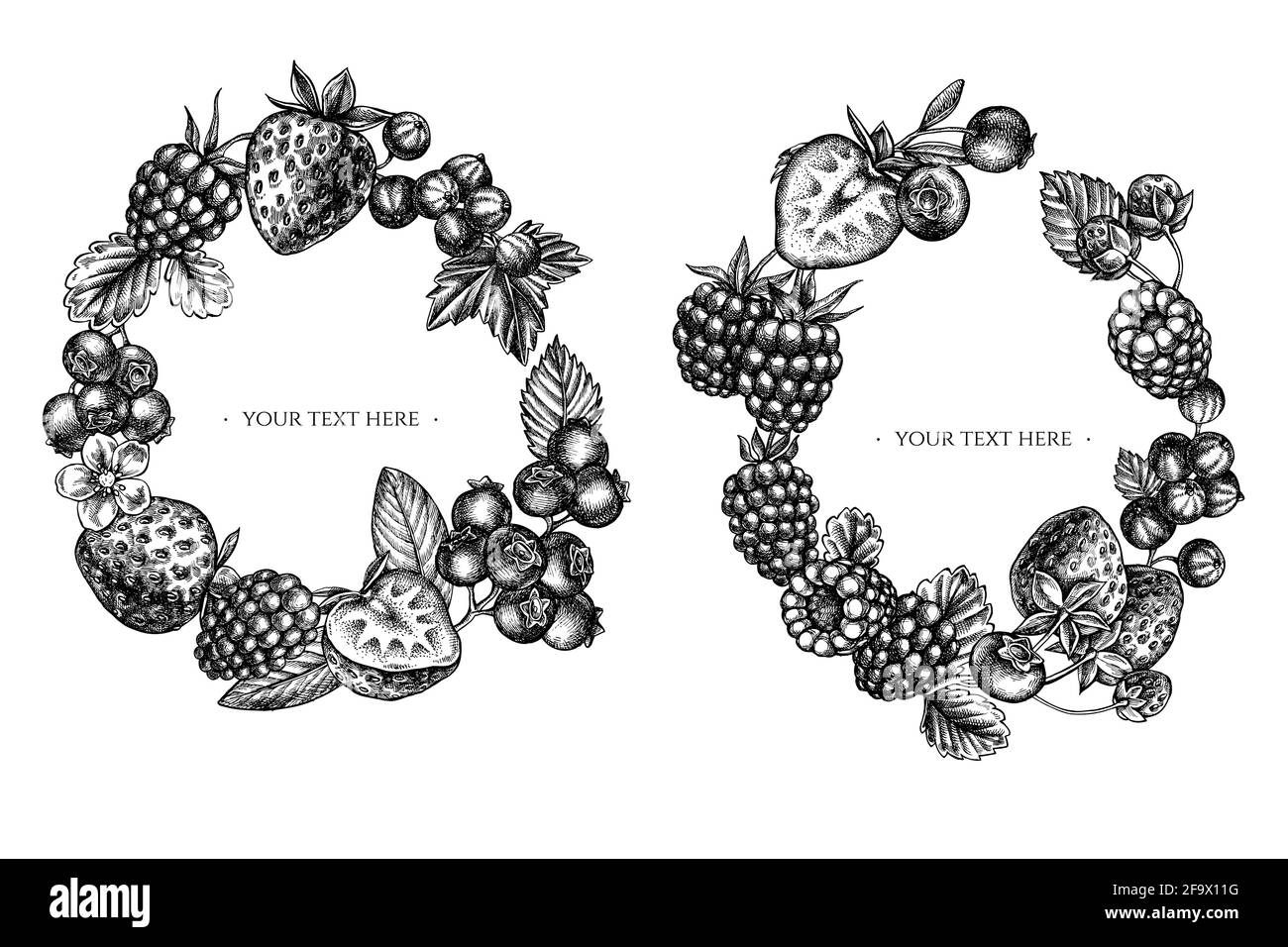 Blackberry wood Stock Vector Images - Alamy