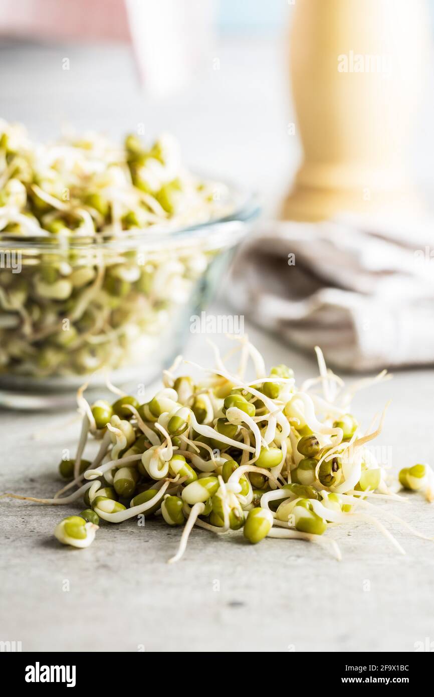 Mung beans growing hi-res stock photography and images - Alamy