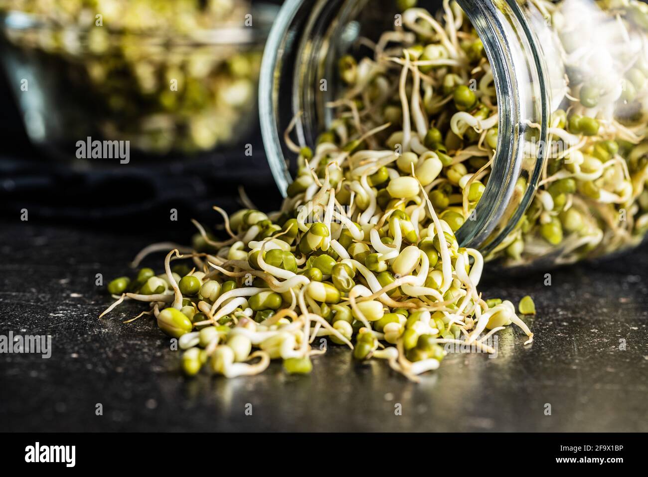 Mung beans growing hi-res stock photography and images - Alamy