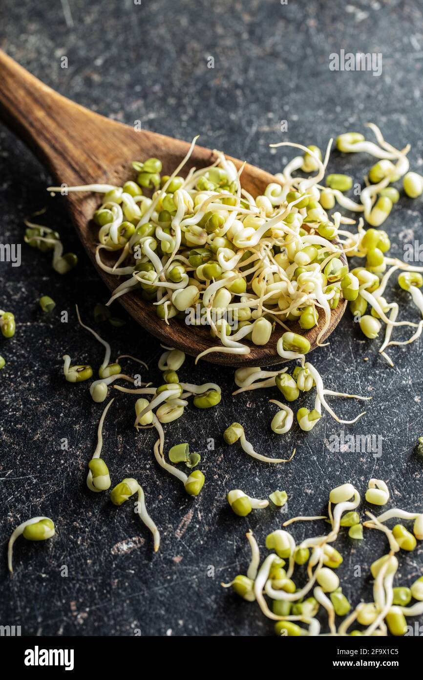 Wooden spoon sprouted green hi-res stock photography and images - Alamy