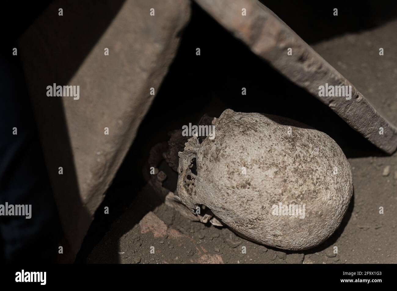 Skull under hi-res stock photography and images - Alamy