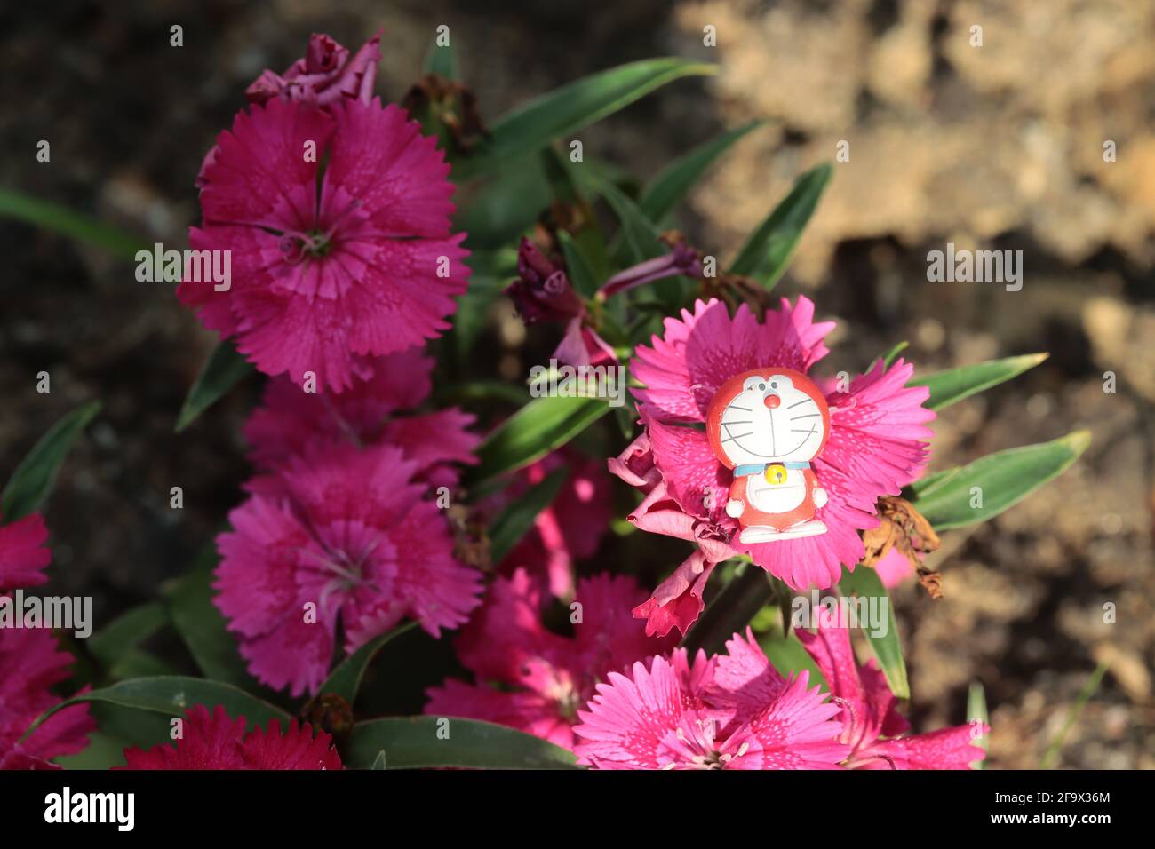 Lovely little red doraemon for decorating the garden placed on a pink ...