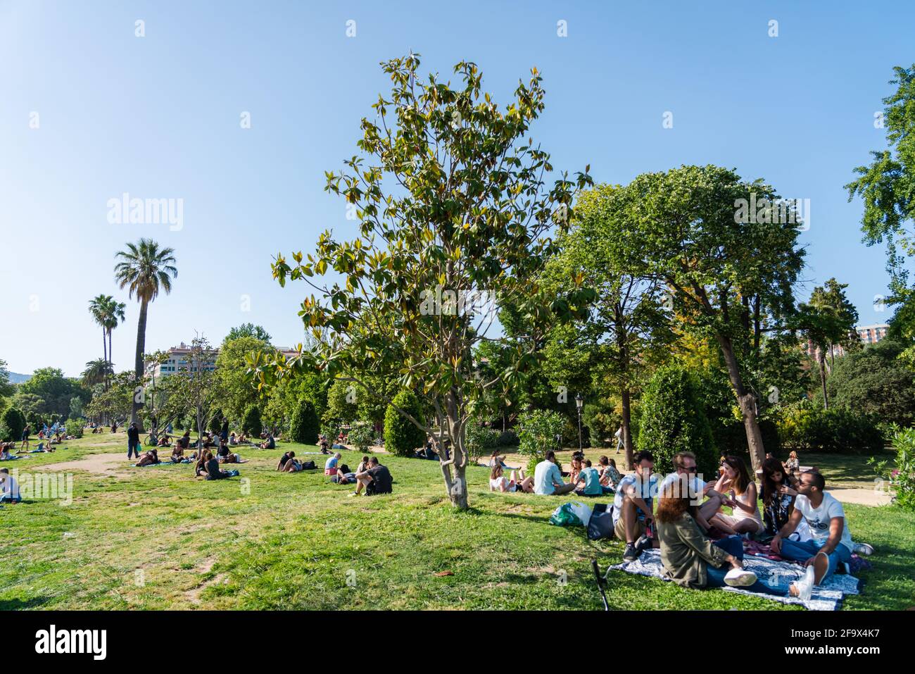 BARCELONA, SPAIN - JUNE 08, 2019: People Having Picnic And Relaxing On ...