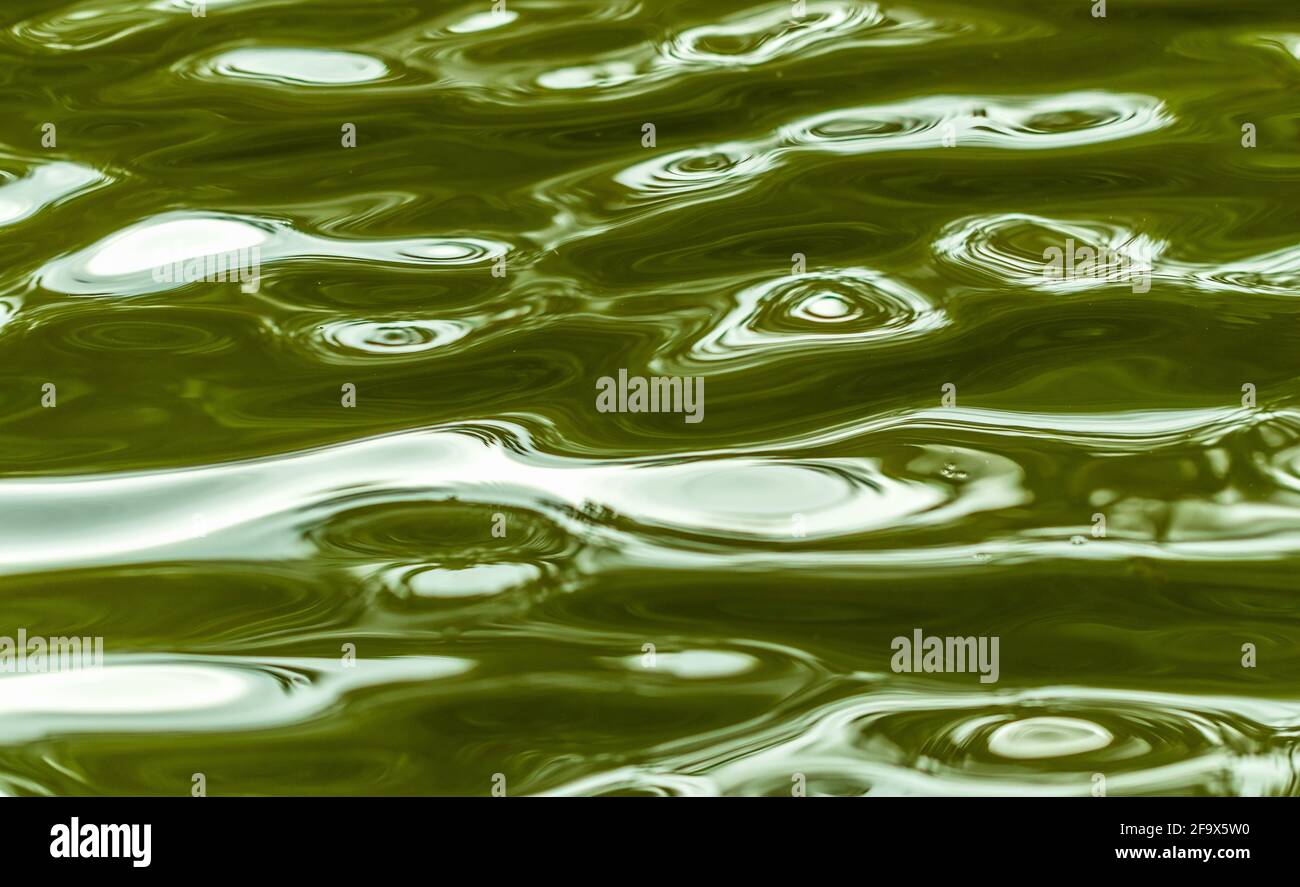 Closeup of water texture perfect for background Stock Photo - Alamy