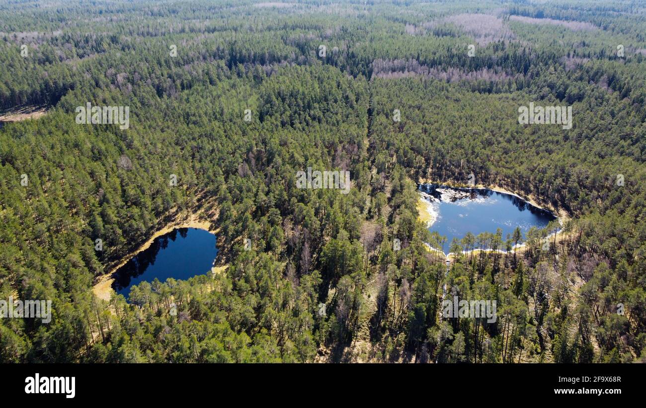 An almost perfect circular lakes shot straight down from the air ...