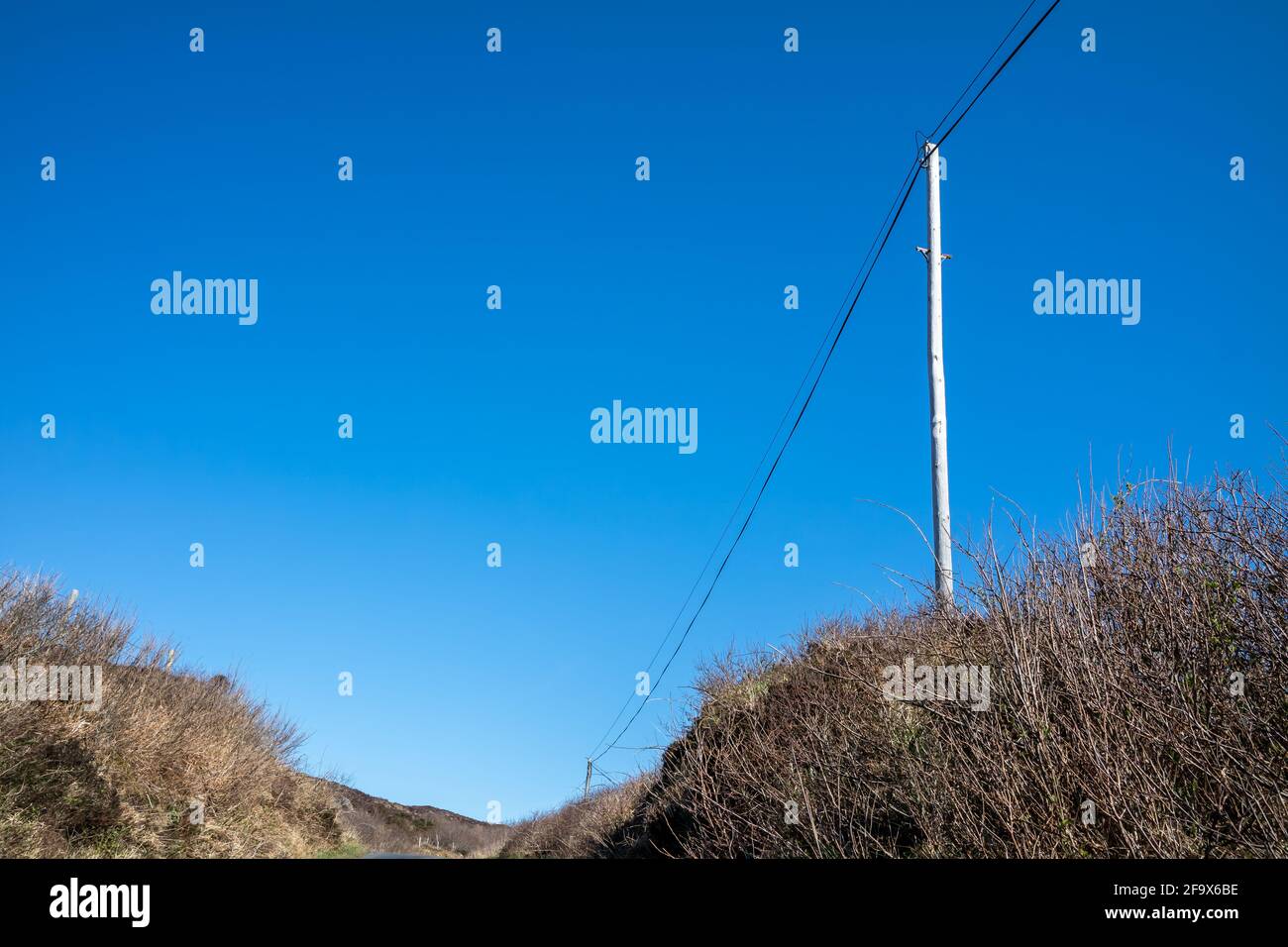 Utility Pole and lines for transmission of electricity and ...