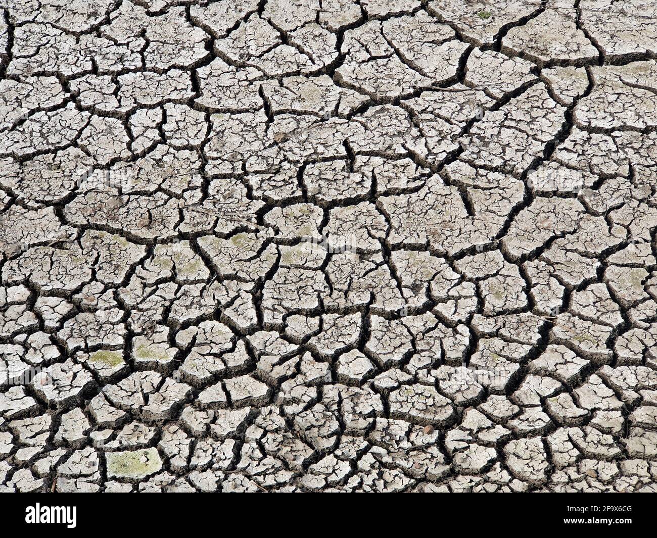 Top view of the texture of the dry and cracked land in a rural area ...