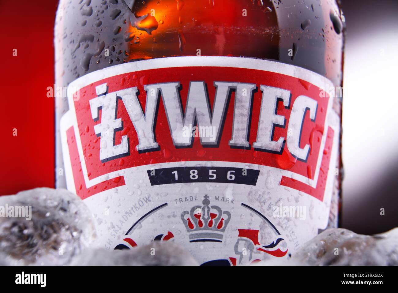 Poznan Pol Feb 18 2021 Bottle Of Zywiec Beer A Pale Lager Which