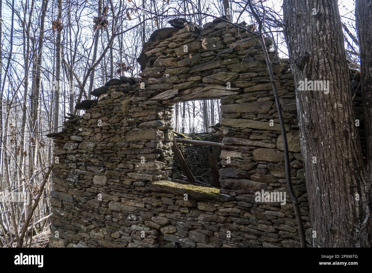 Ruin abandoned stone house with a collapsed roof surrounded by trees Stock Photo - Alamy