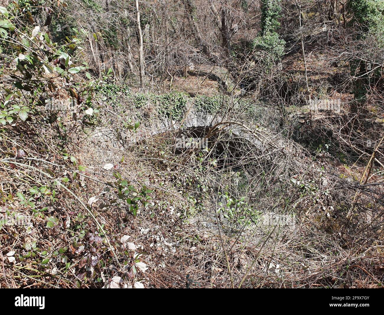 Dirty and messy area in a forest Stock Photo - Alamy