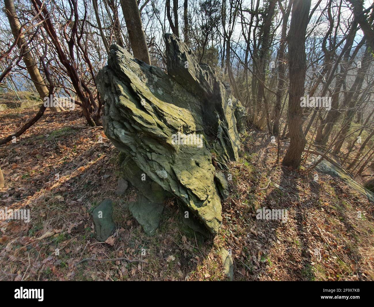 Asymmetrical hi-res stock photography and images - Alamy