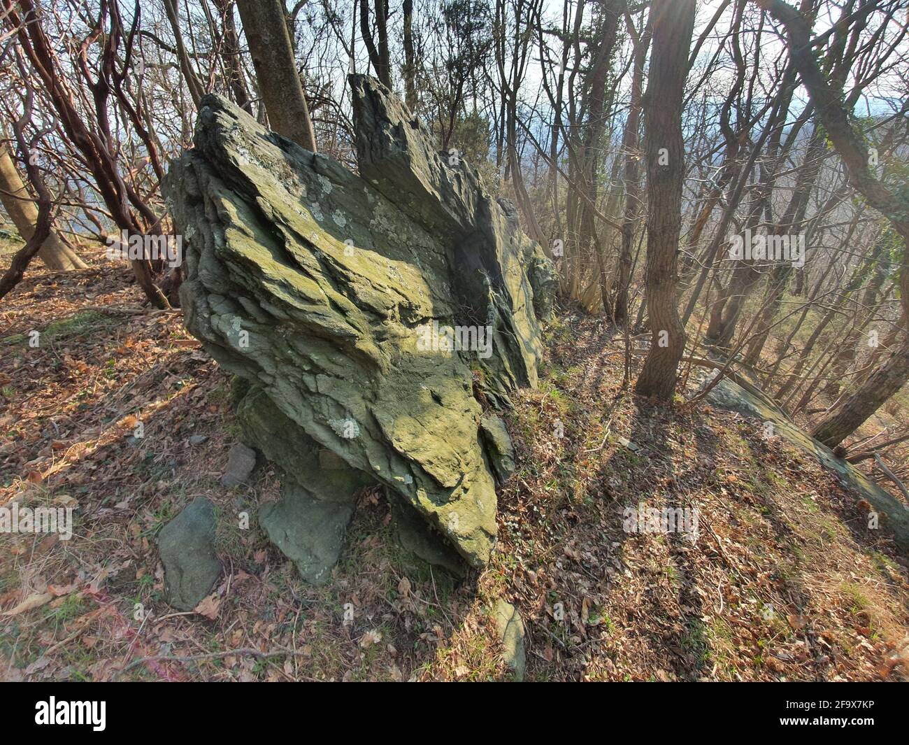 Rock boulder surrounded with woods on a hill in Monte Beigua park Stock ...
