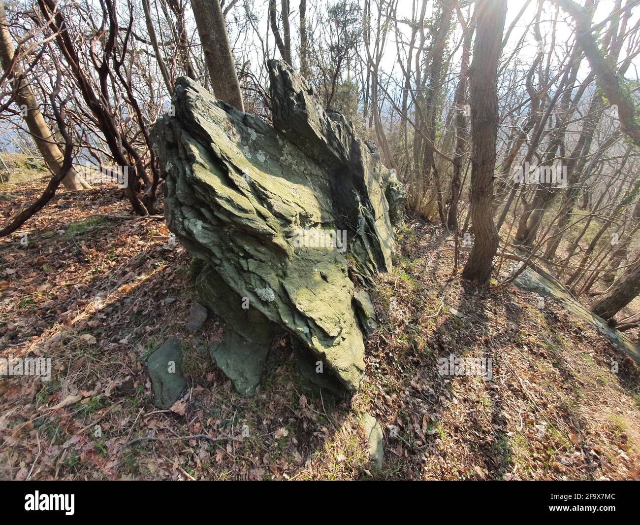 Rock boulder surrounded with woods on a hill in Monte Beigua park Stock ...