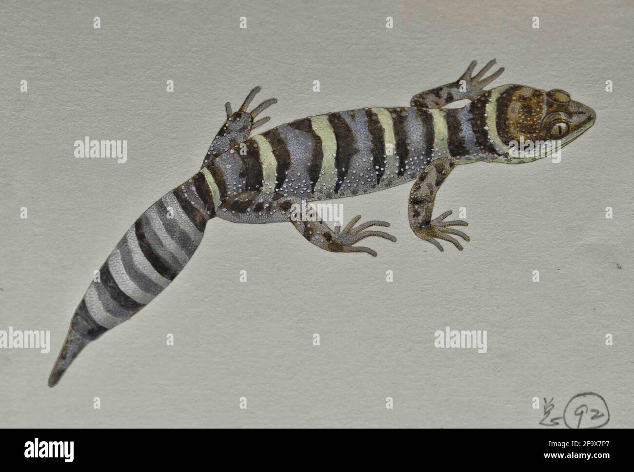 (210421) -- CHENGDU, April 21, 2021 (Xinhua) -- Photo taken on April 14 ...