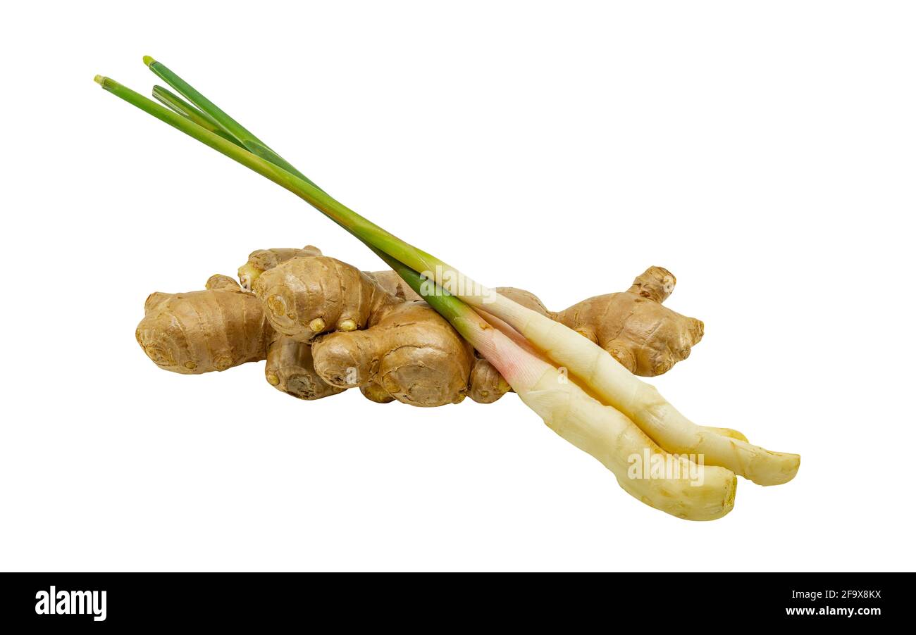 Old ginger Cut Out Stock Images & Pictures - Alamy