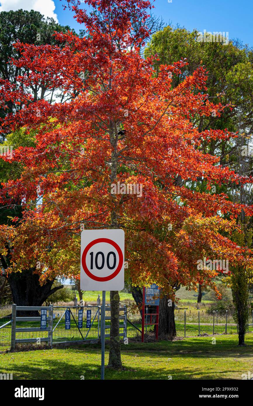 100 speed sign hi-res stock photography and images - Alamy