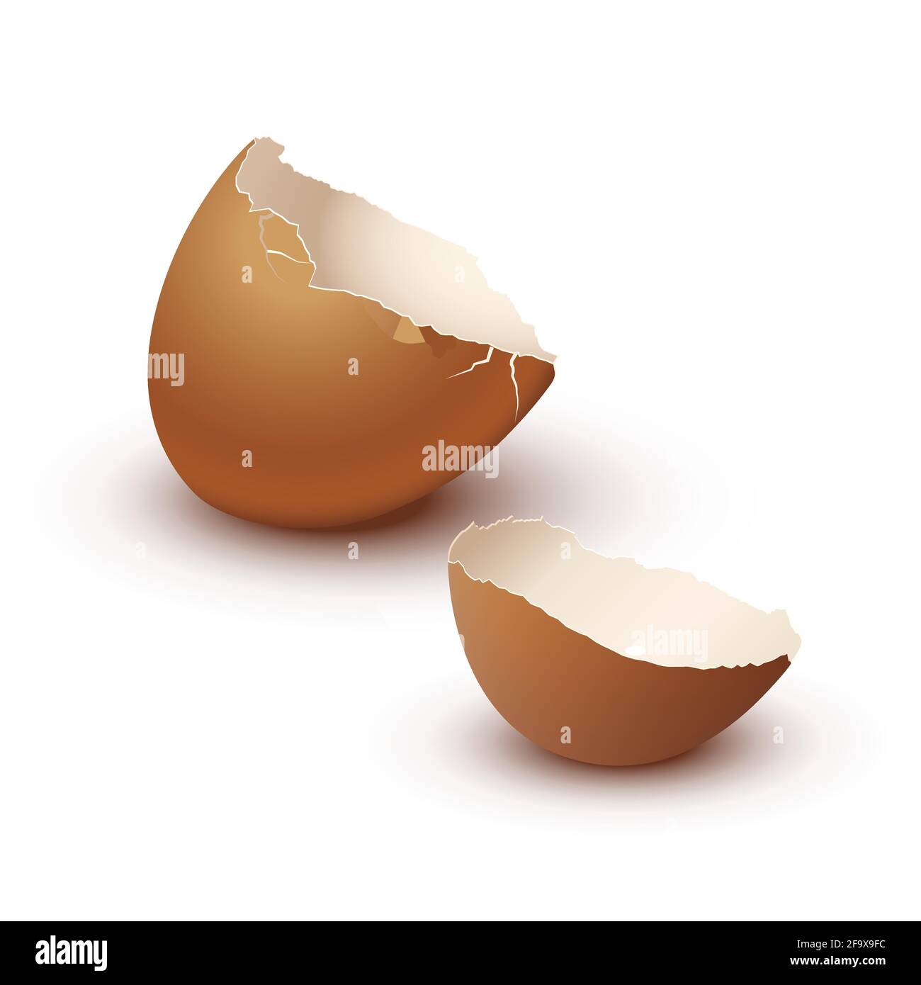 Broken Egg Shell Cartoon