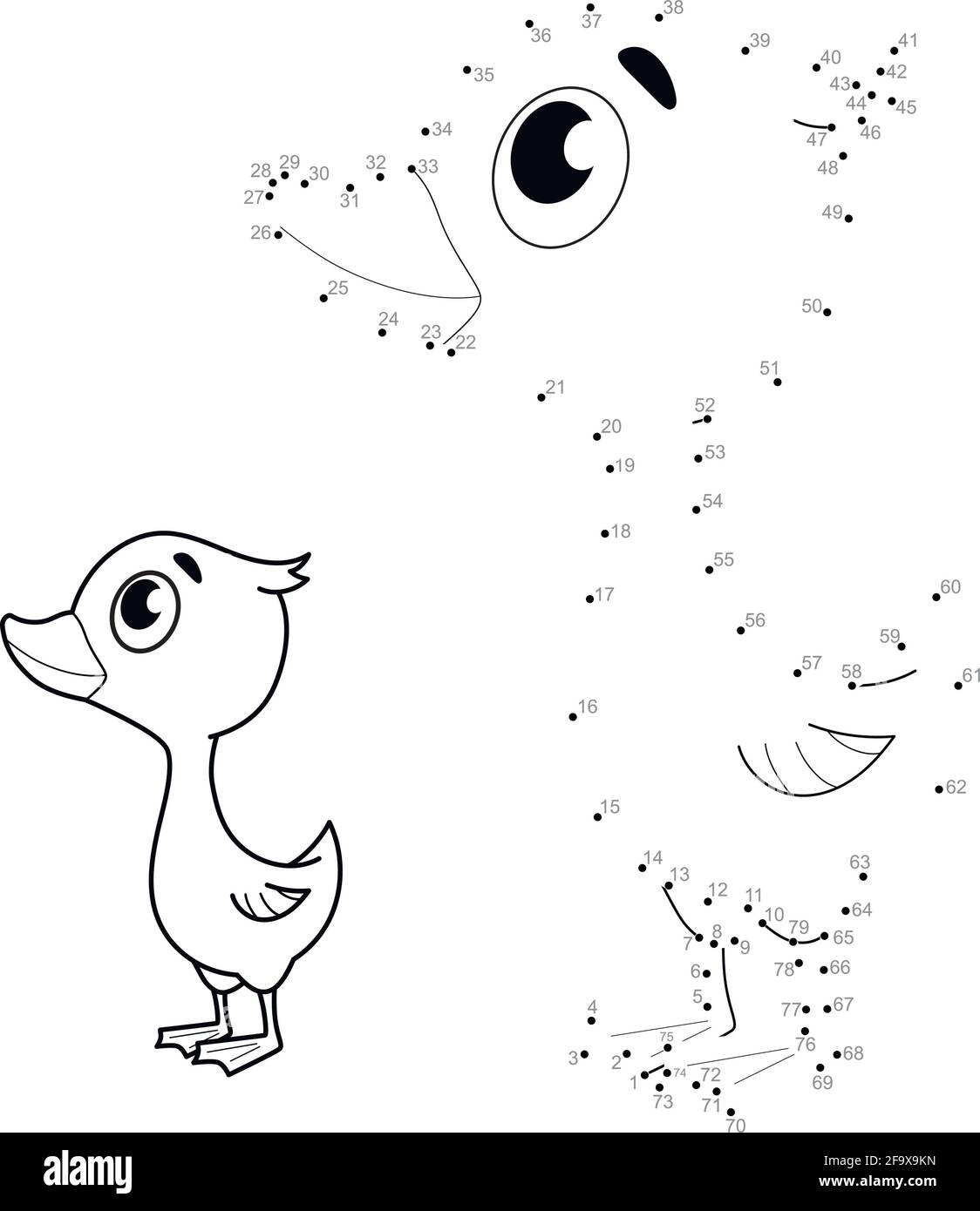 Dot To Dot Puzzle For Children Connect Dots Game Duckling Dot To Dot Puzzle For Children Connect Dots Game Duckling