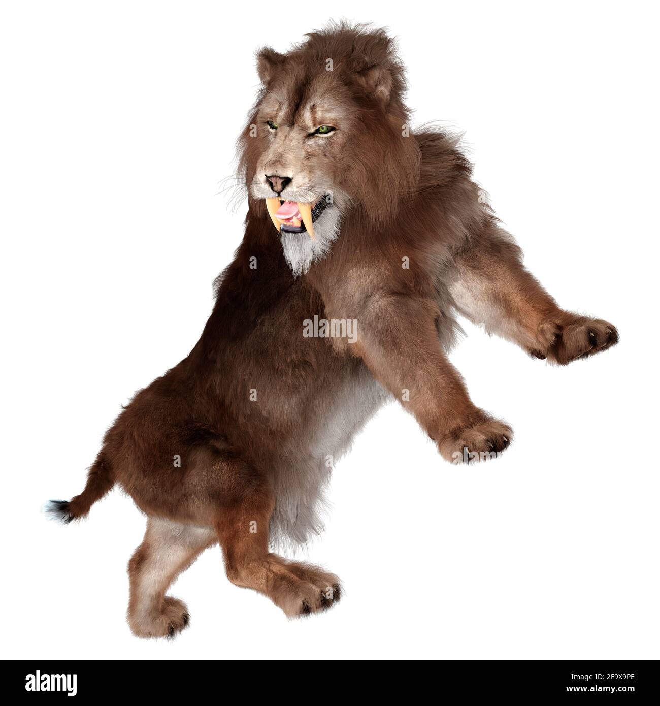 3D rendering of a sabertooth tiger isolated on white background Stock ...