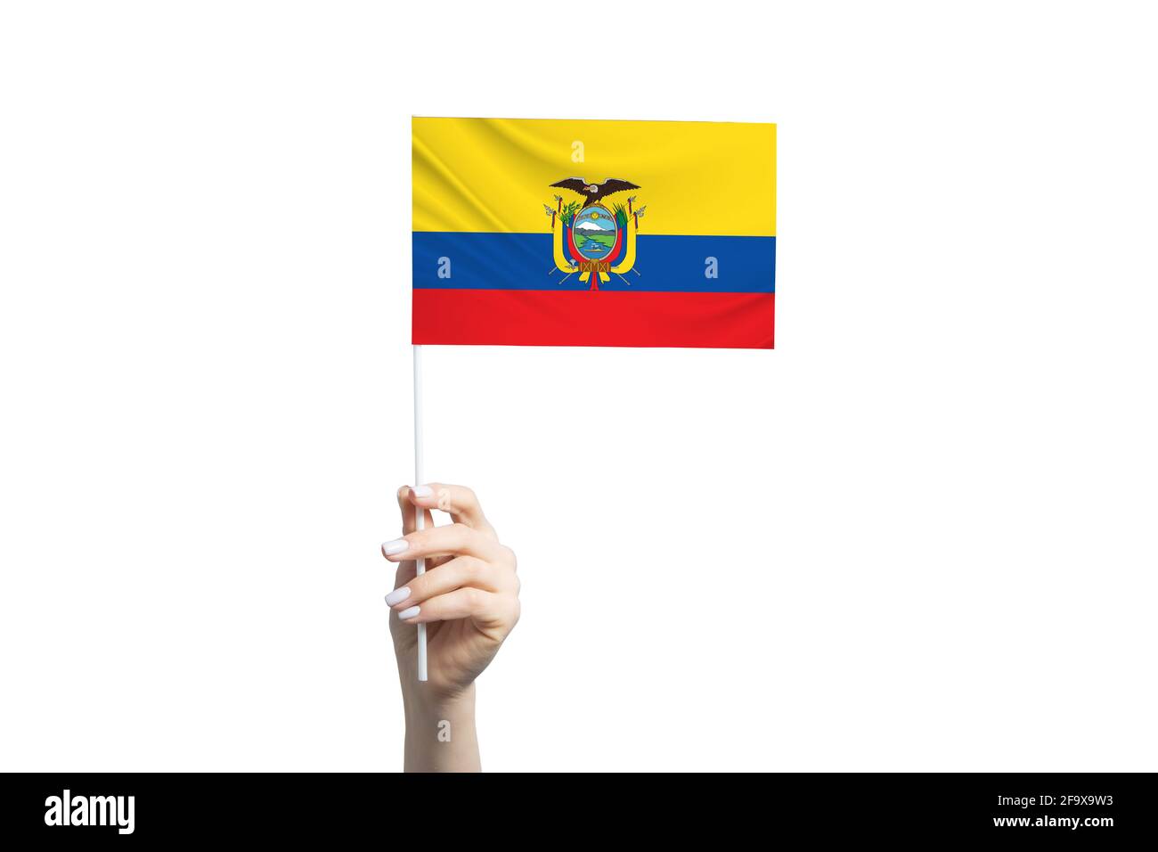 Beautiful female hand holding Ecuador flag, isolated on white ...