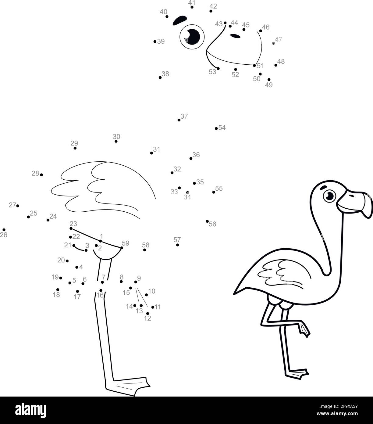 Flamingo illustration Black and White Stock Photos & Images - Alamy