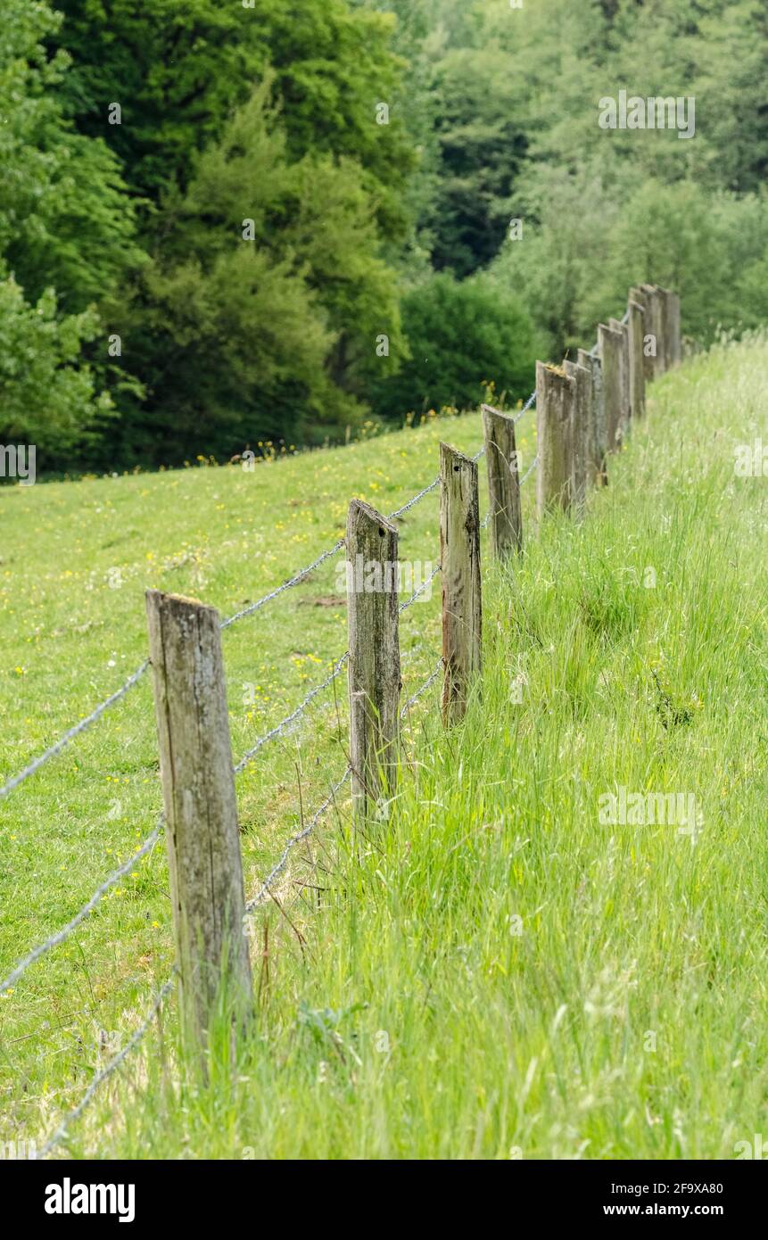 Wooden or timber fence posts hi-res stock photography and images - Alamy