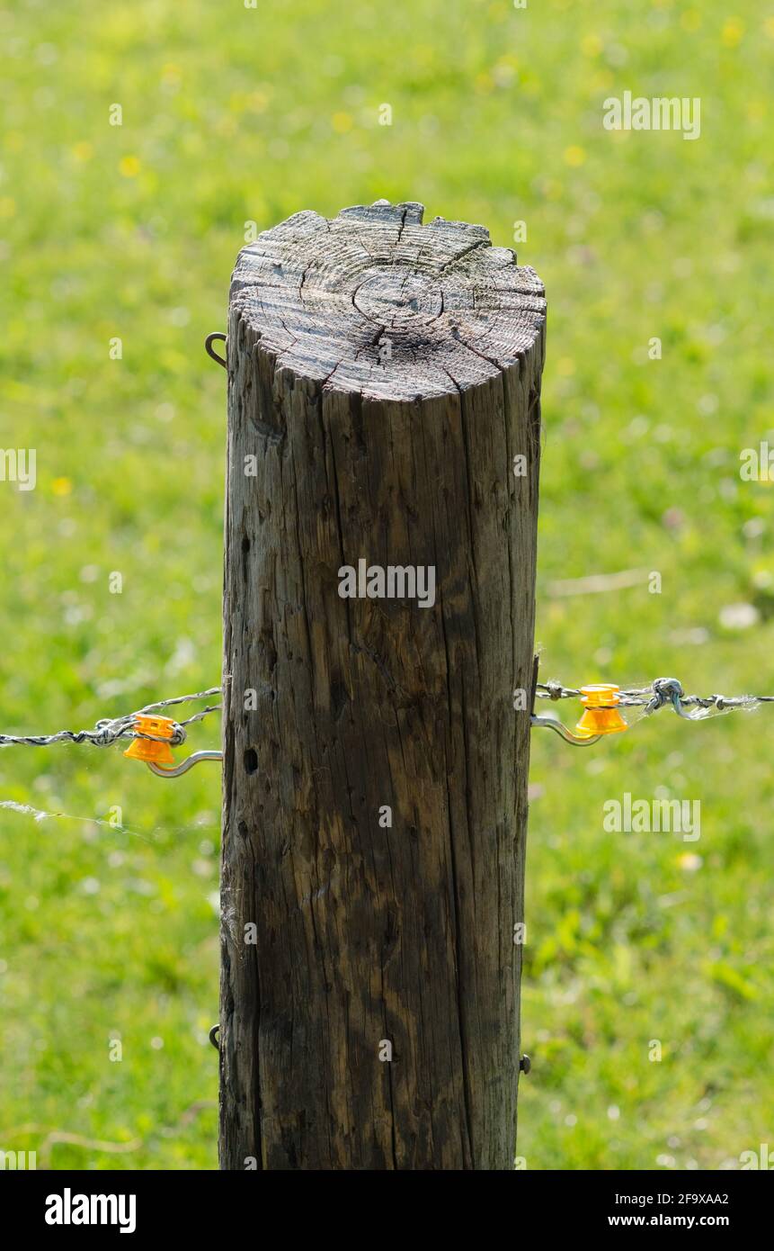 Wooden electrical pole hi-res stock photography and images - Alamy