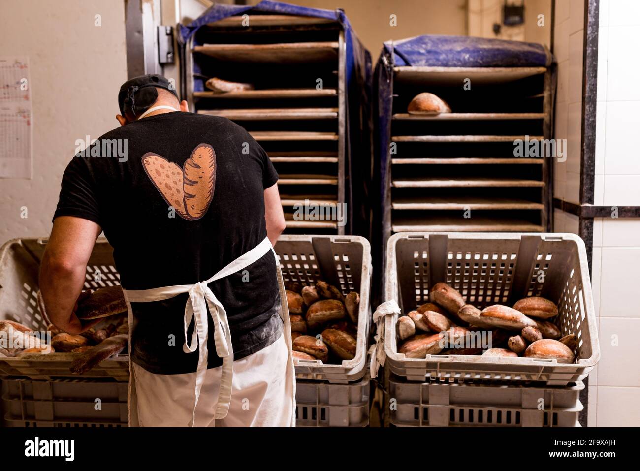 young baker in bakery holding bread and taking care of it with passion ...