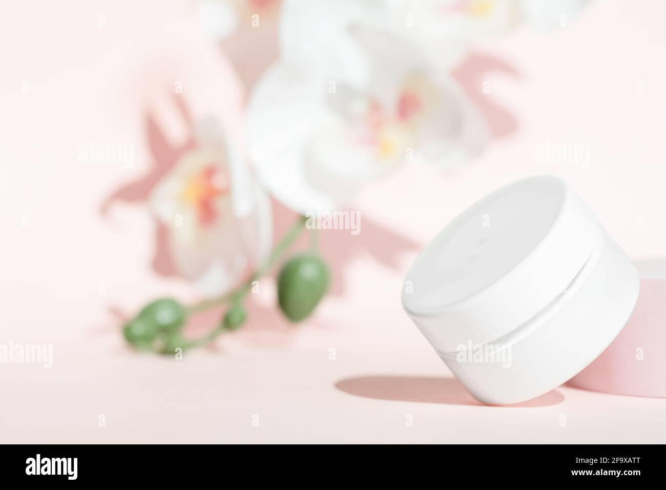 Floral display with light background hi-res stock photography and ...