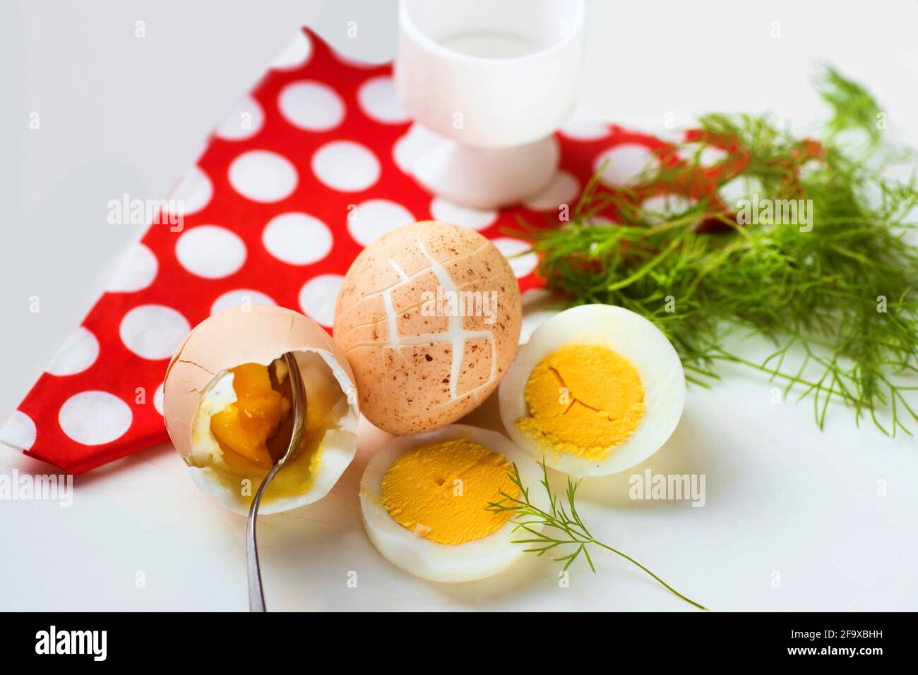 Egg shell structure hi-res stock photography and images - Alamy