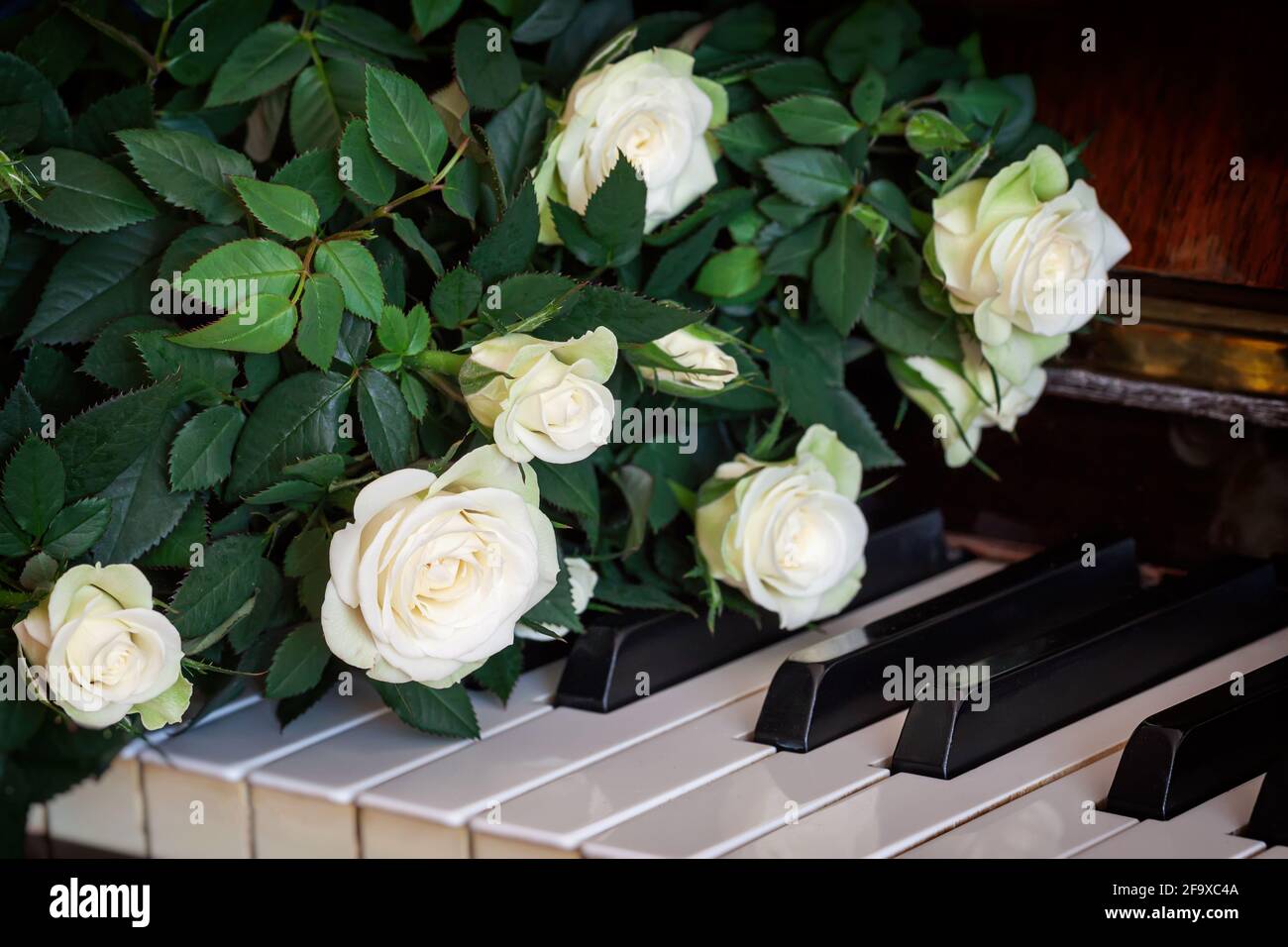 White roses key on wedding hi-res stock photography and images - Alamy
